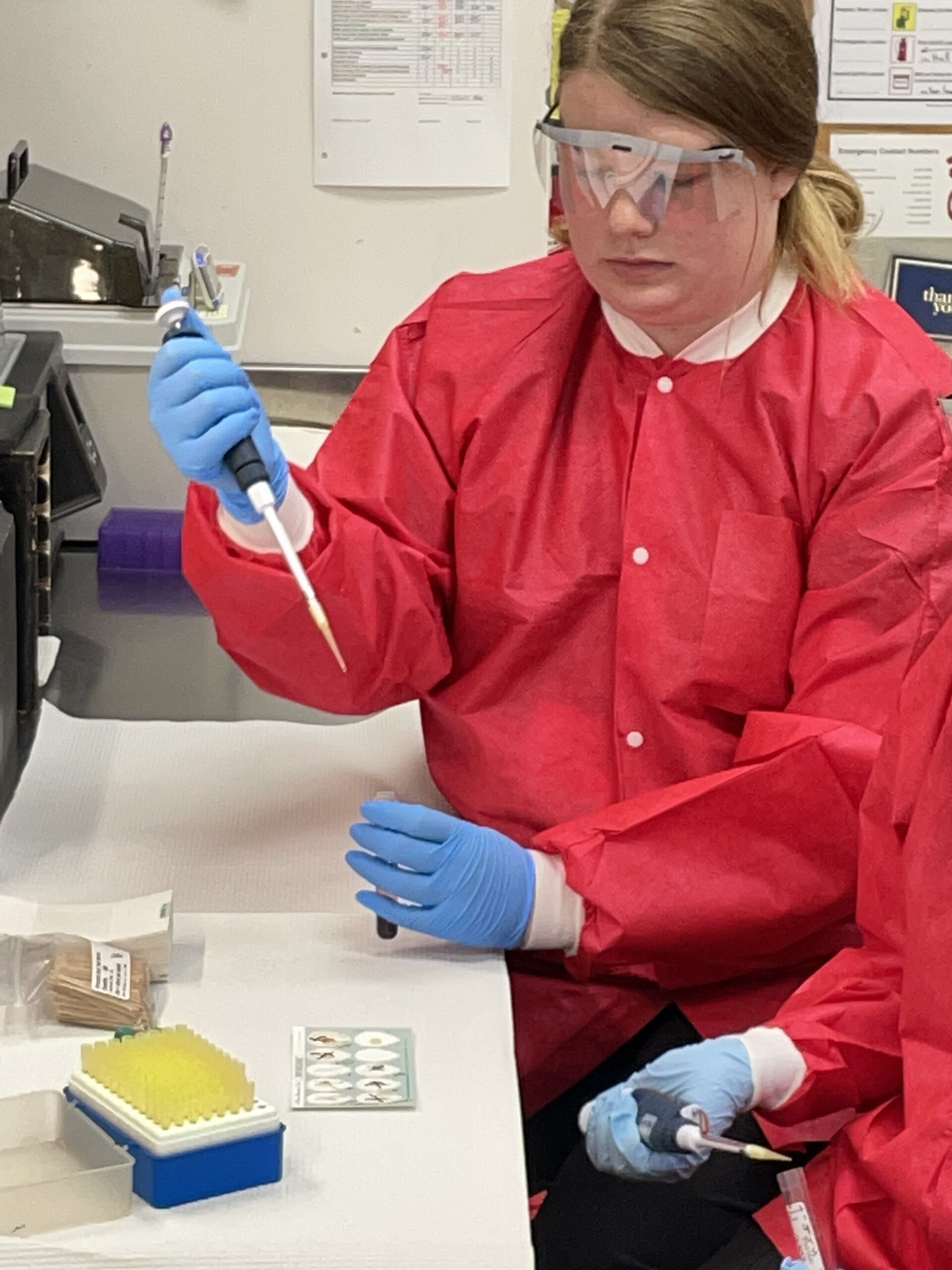 Tifton lab introduces ABAC students to VetMed - UGA Vet Online Magazine