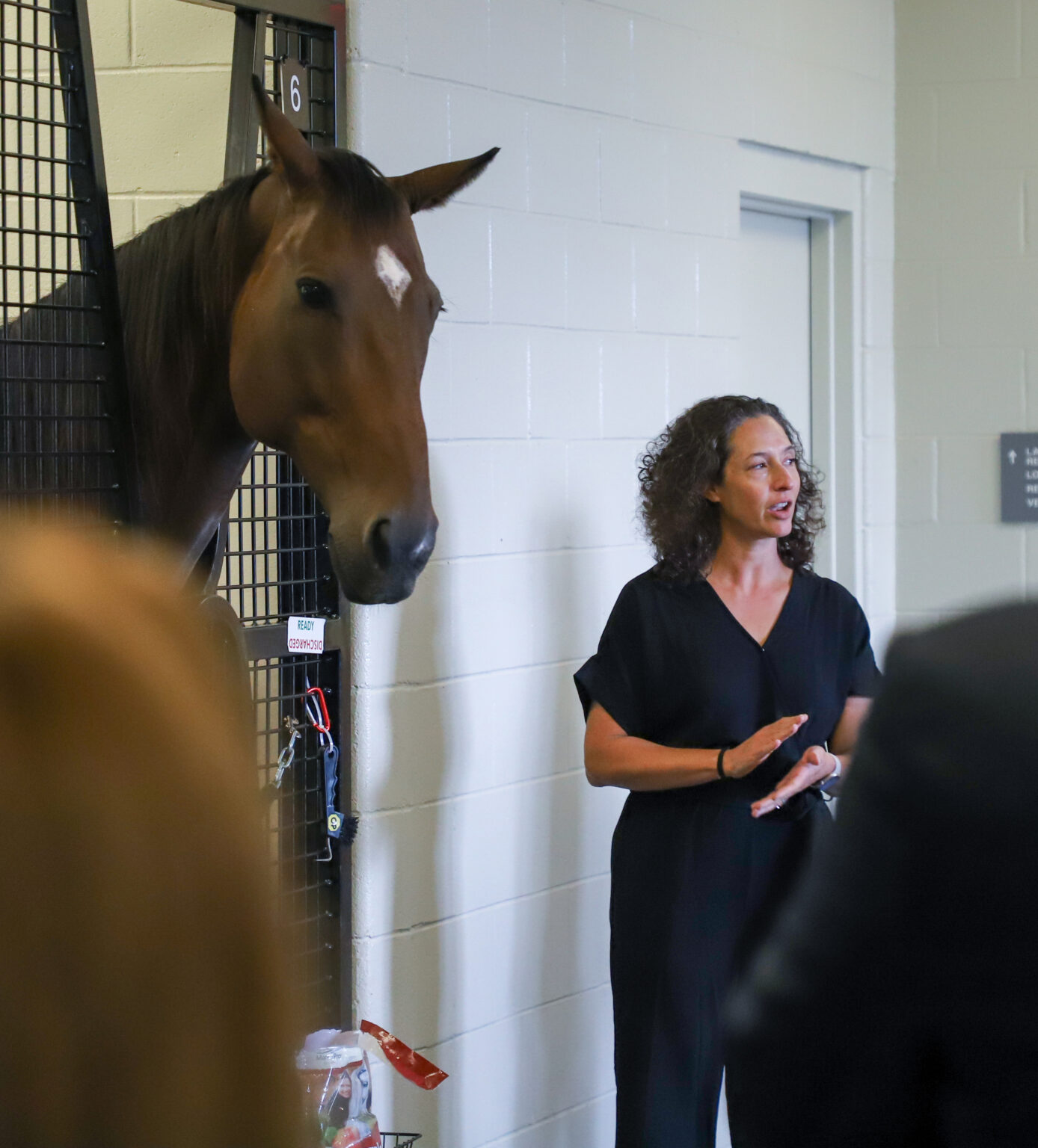 Distinguished professors advance health care for animals and humans ...