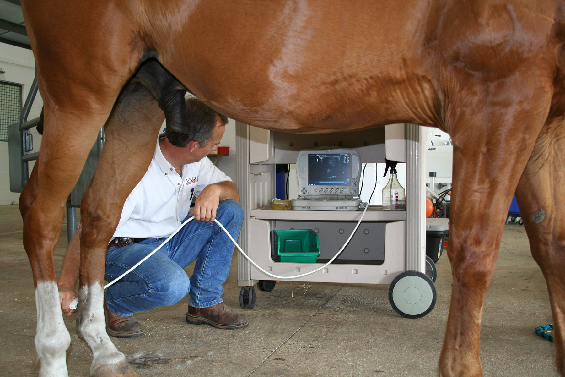 Dr. Steve Fisch pays forward the inspiration he received from CVM ...